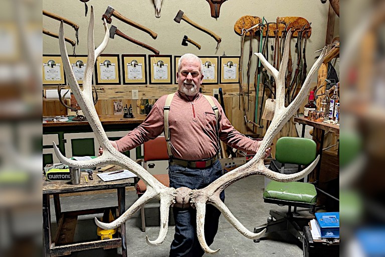 This Monster Montana Elk is the New World Record with a Bow