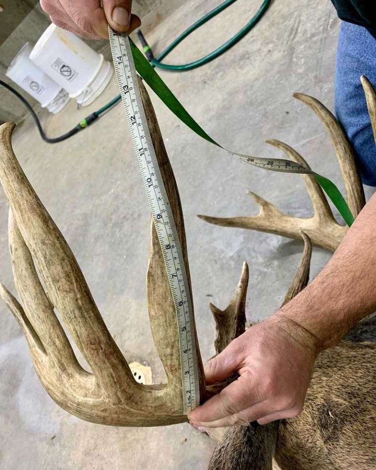 Indiana Hunter Reacts to His 211-Inch Typical Whitetail Likely Becoming ...