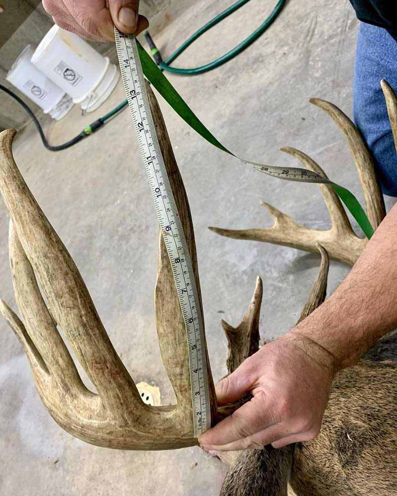 Indiana Hunter Reacts to His 211-Inch Typical Whitetail Likely Becoming ...
