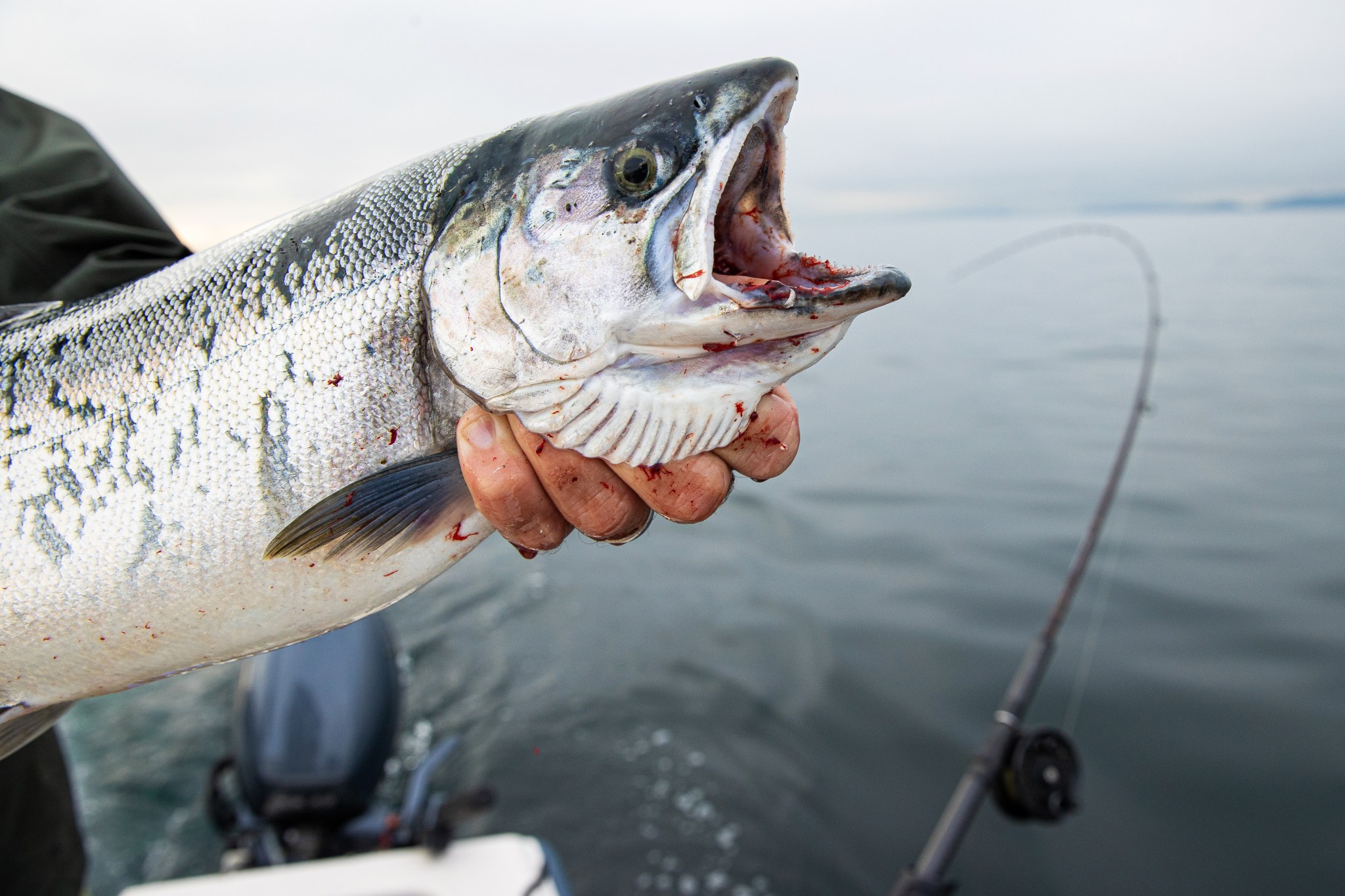 5 Best West Coast Fishing Trips for the Catch of a Lifetime