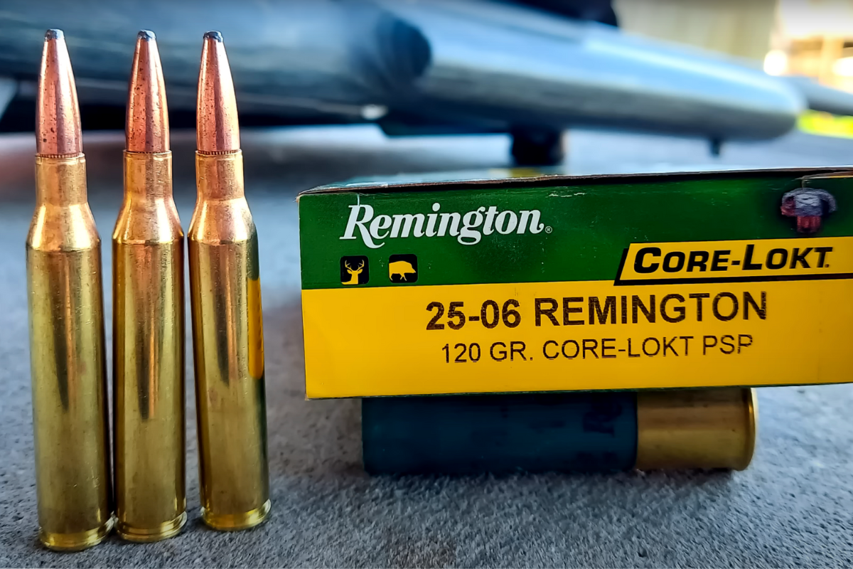 .25-06 Remington: 5 Great Rifles for Hunting