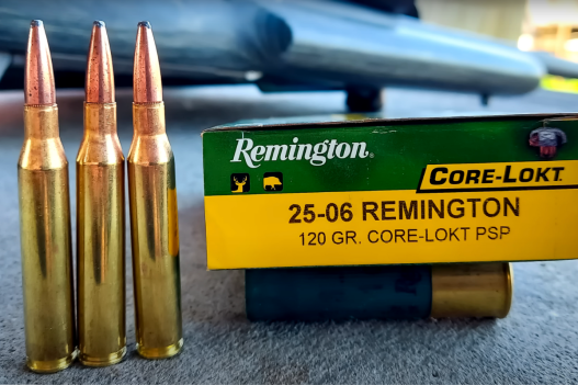.25-06 Remington: 5 Great Rifles for Hunting