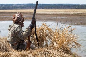 Best Public Duck Hunting States for Waterfowlers to Try