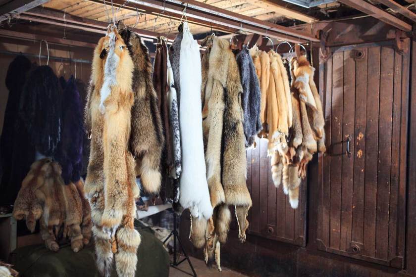 More Women Should Get Into Fur Trapping - Wide Open Spaces