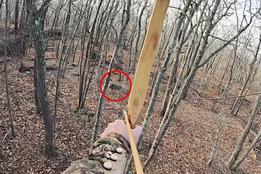 Traditional Archer Makes Great Shot on Large Kansas Buck With a Longbow ...