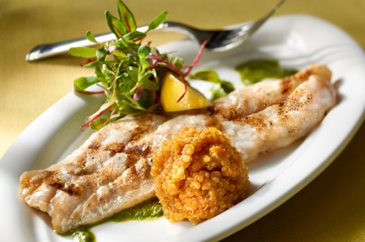Redfish Recipes: 5 Options That Get the Most Out of Your Catch