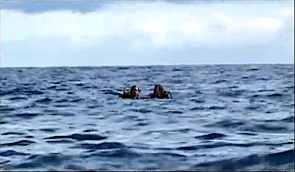 PHOTOS: 8 Aquatic Horror Movies That Made Us Afraid to Get Back in the ...