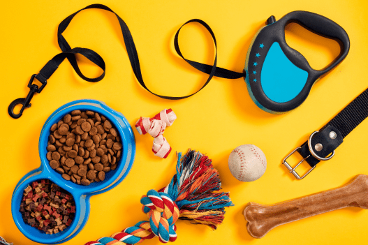 Dog Essentials: 5 Must-Haves Before Adopting or Rescuing