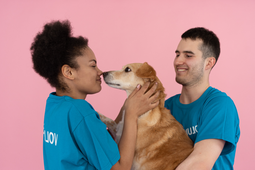 Dog Adoption Age Limits Why They Are Critical dog-adoption-age-limits-why-they-are-critical