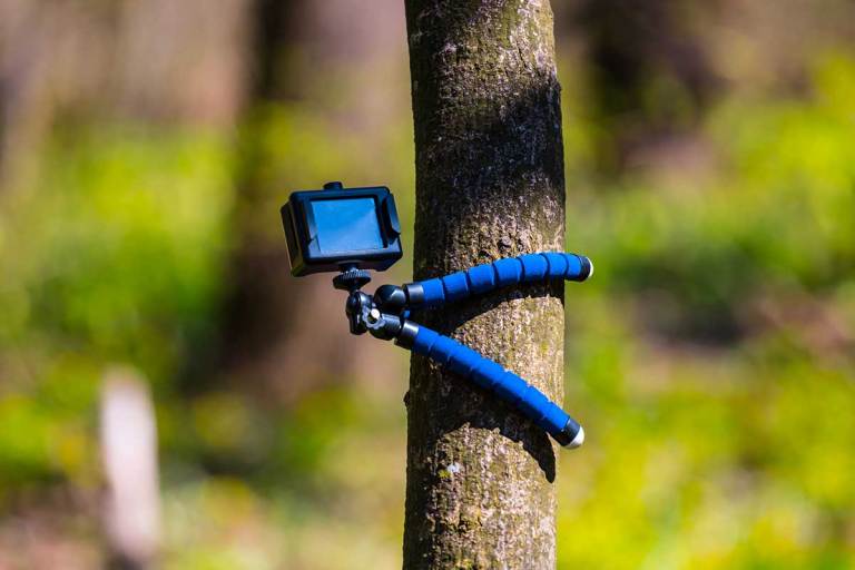 Bowhunter Captures Pass-Through Shot With Reverse-Angle Camera - Wide ...