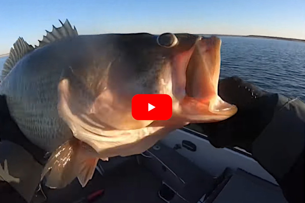 13-Pound Bass Landed in Texas' Twin Buttes Reservoir - Wide Open Spaces