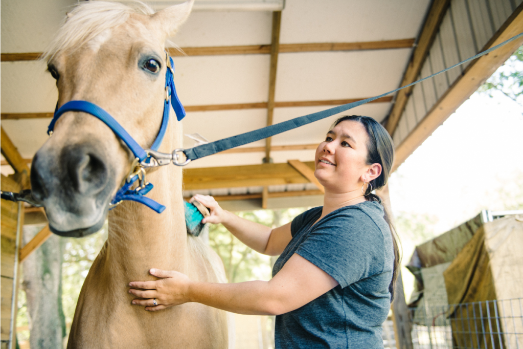 How to Groom a Horse - Horse Grooming Steps for Beginners