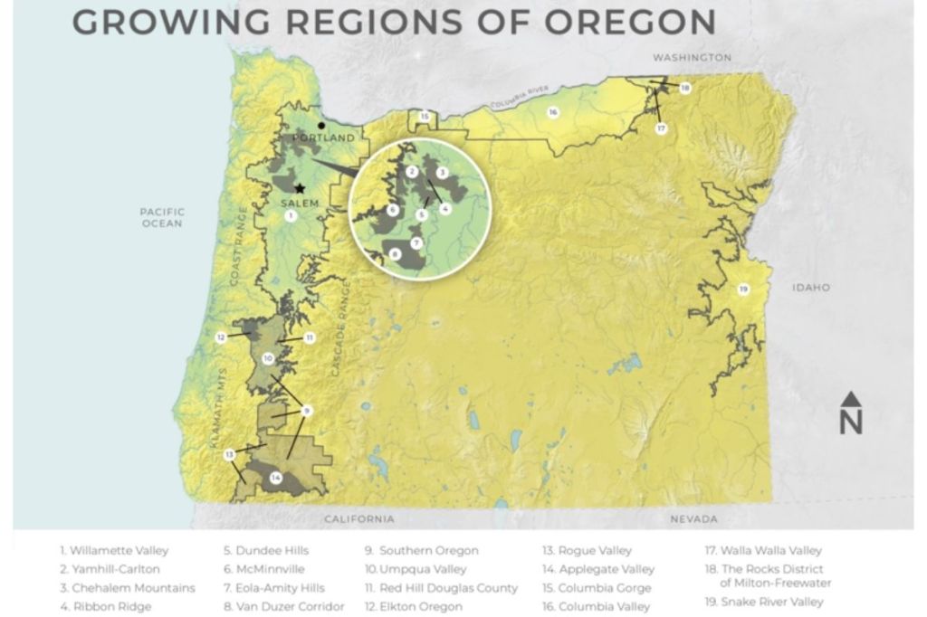 Oregon Wine Country: The 4 Distinct Regions + Vineyards to Explore