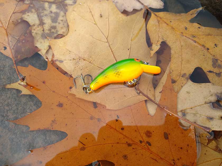 Best Trout Lures: Top 10 Baits for Conventional Anglers