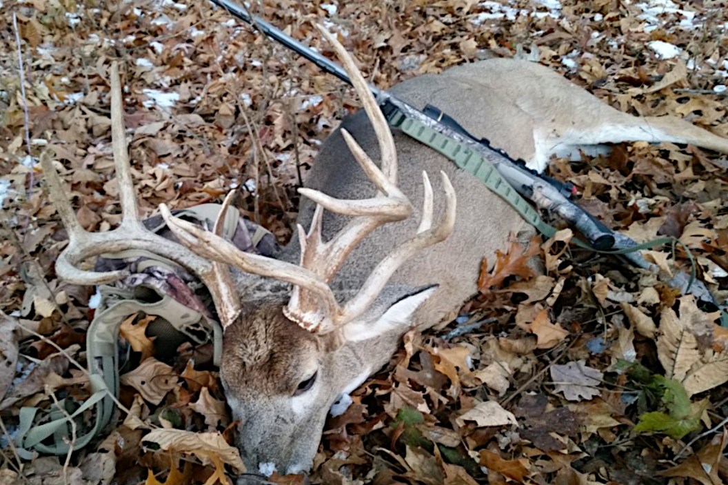 Hunter Bags Freaky Non-Typical Whitetail With Broken Antler Pedicle ...