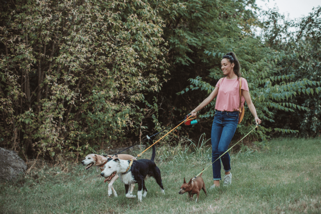 Best Petting Sitting Apps for Walkers, Picky Parents & More