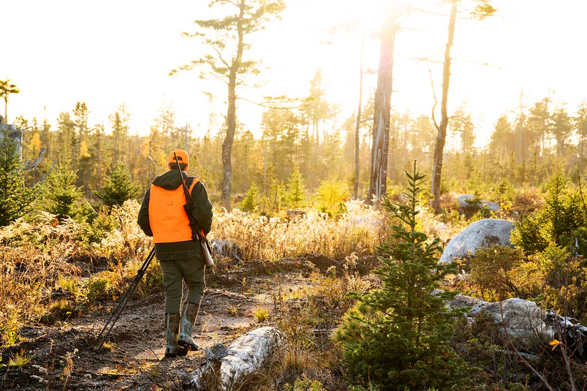 The True Story of Hunting and Conservation in North America - Wide Open ...