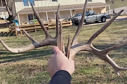 8 Creative Ways to Trap Antlers - Wide Open Spaces