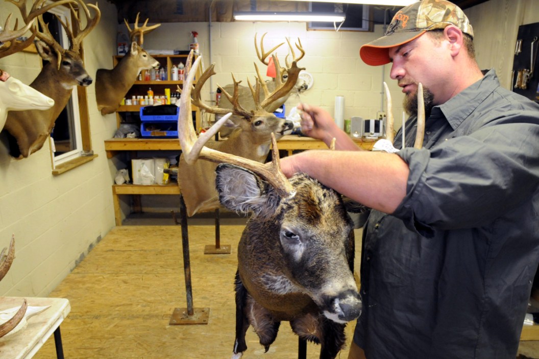 Taxidermist Salary: What These Wildlife Artists Usually Make