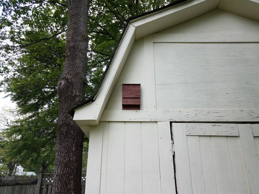 Hang a Bat House: A Great Way to Control Mosquitoes