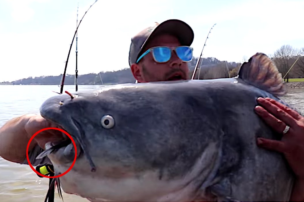 Virginia Bow-Angler Lands Massive, Record-Setting Blue Catfish