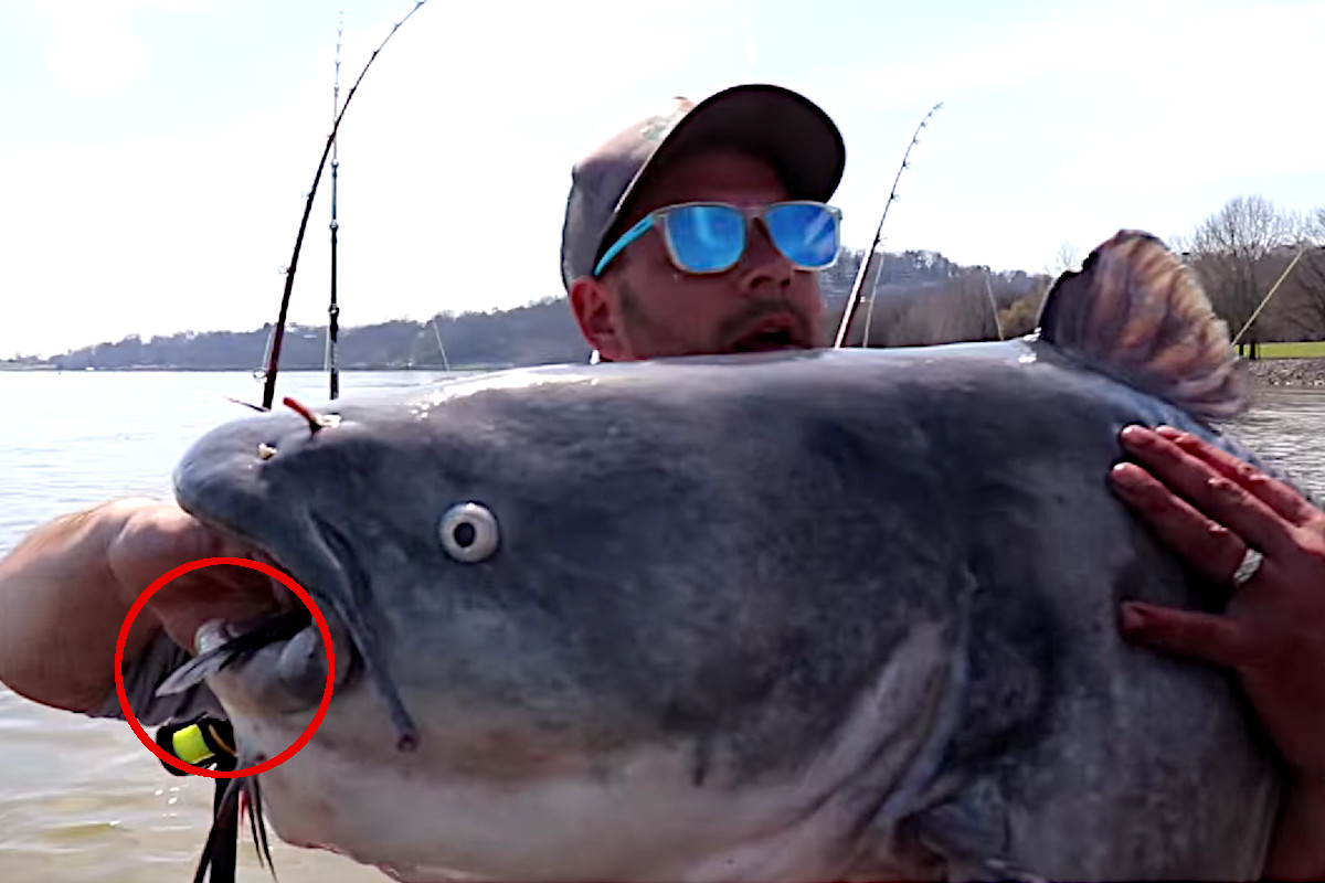 Virginia Bow-Angler Lands Massive, Record-Setting Blue Catfish