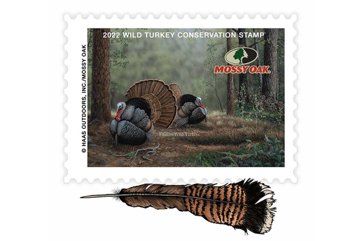 Wild Turkey Conservation Stamp Offered By Mossy Oak - Wide Open Spaces