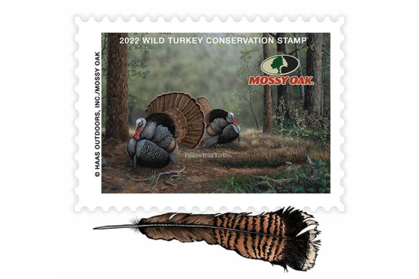 Wild Turkey Conservation Stamp Offered By Mossy Oak - Wide Open Spaces