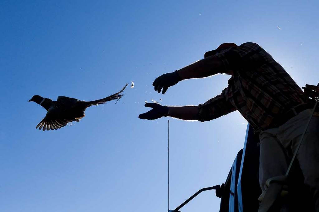 Modern Wildlife Conservationists Are Changing the Hunting and Fishing ...