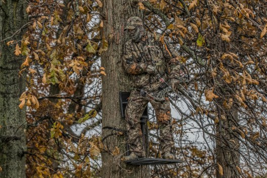 3 Times a Normal Day in the Woods Turned Into a Fight for Survival