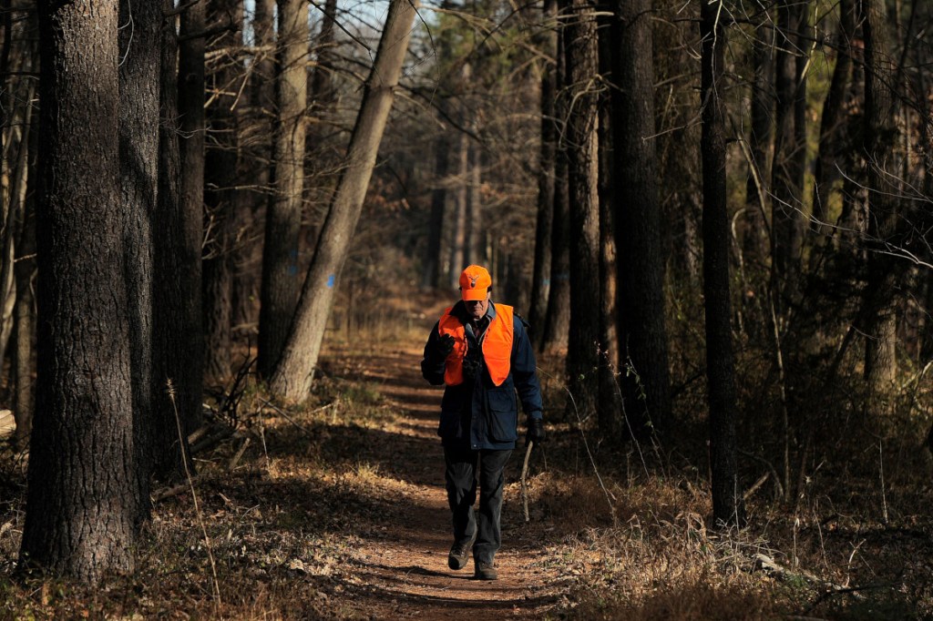 Virginia Legalizes Sunday Hunting on Public Land Starting in July