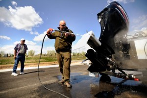 What Zebra Mussels Are and How Anglers Can Help with the Problem