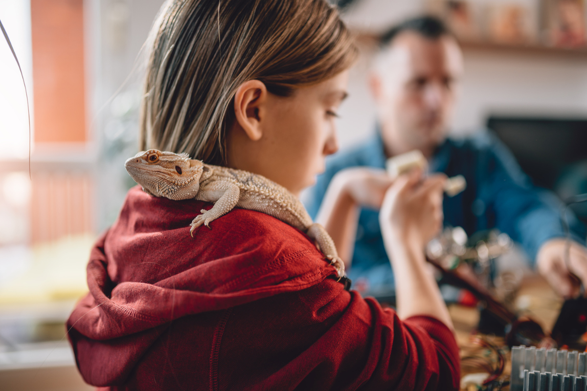 10 Types of Turtles You Can Keep as Low-Maintenance Pets