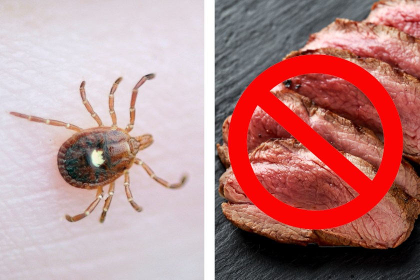 Alpha-Gal Syndrome: The Terrifying Tick-Borne Red Meat Allergy