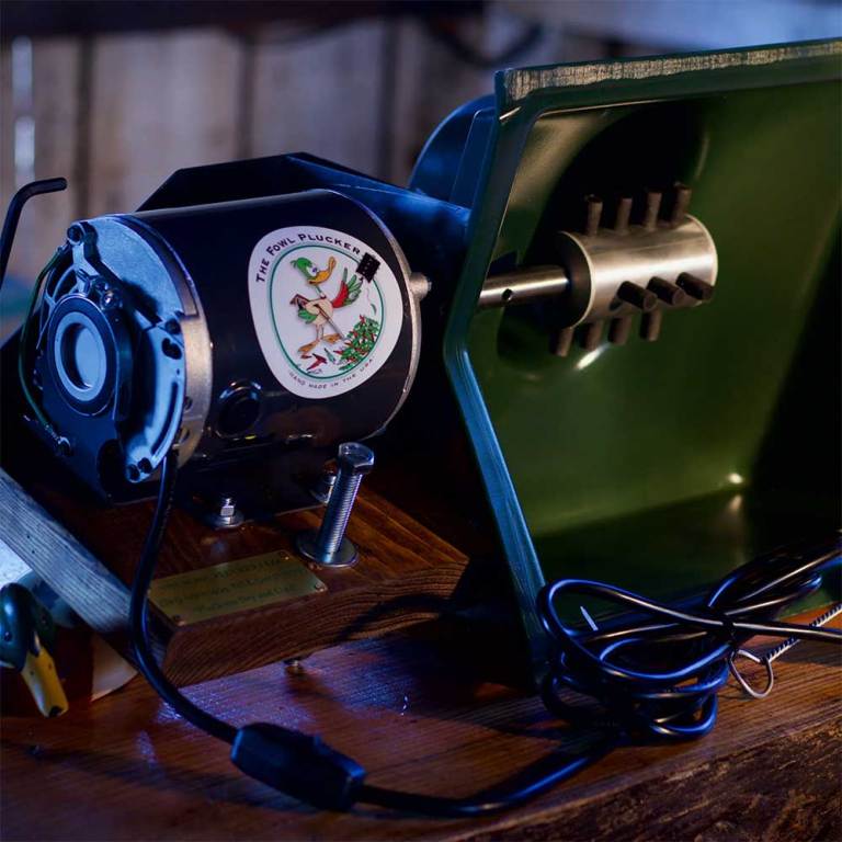 Duck Plucking: How to Remove Feathers From Waterfowl