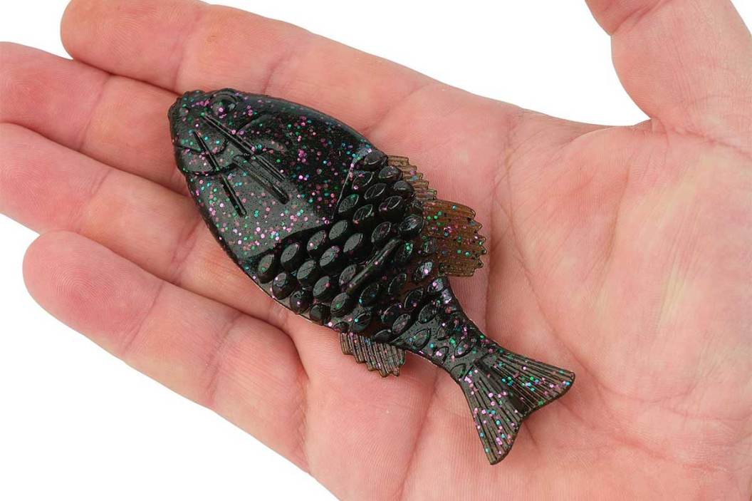Best Soft Plastics Used By Pro Anglers
