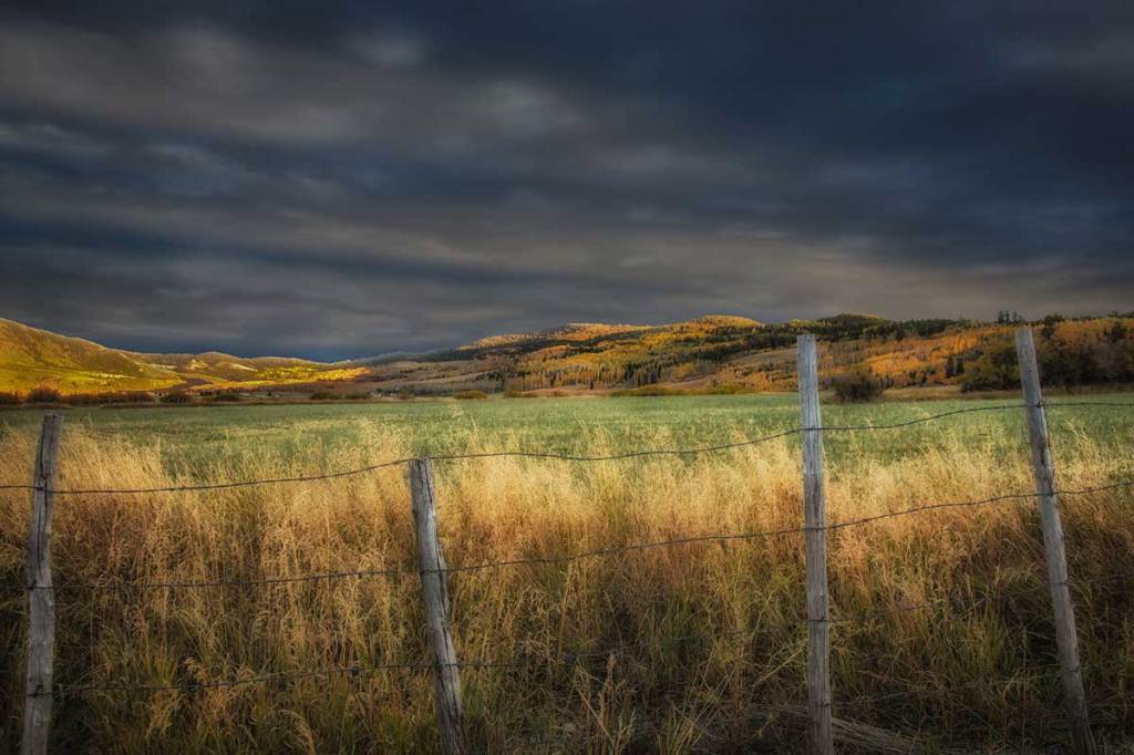 No-Trespassing Purple Paint: What It Means and What to Do