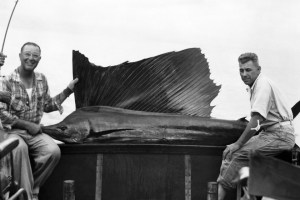 History of the IGFA and What They Do for Sportfishing