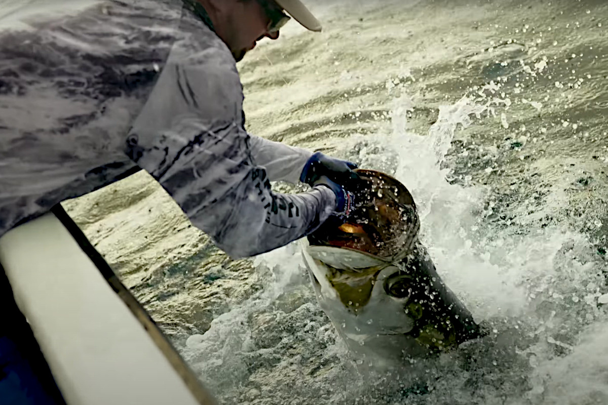 World Record Tarpon: Why There's Still Bigger Ones Waiting to Be Caught