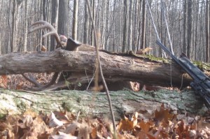 Get Those Antlers Up: Rack Hub RH2 System Review