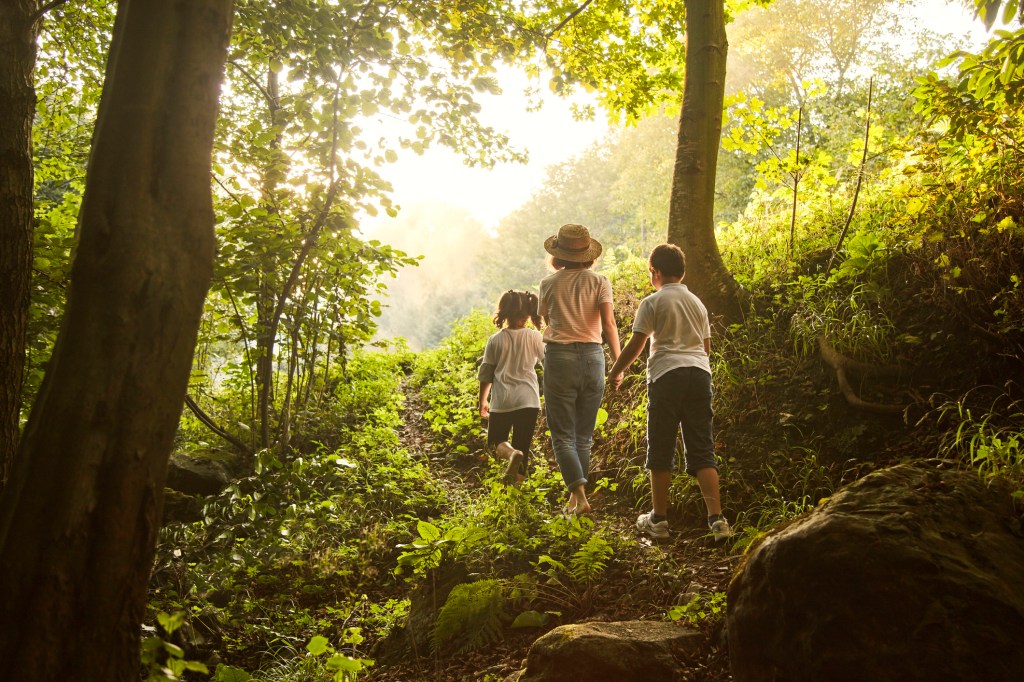 25 Nature Boy Names for Your Future Outdoorsman