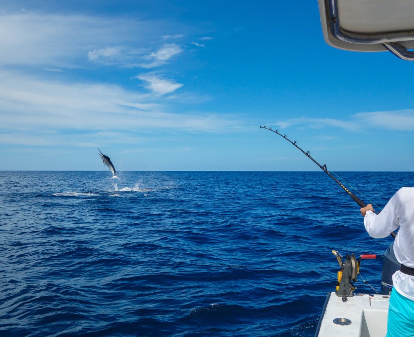3 Reasons to Book a Deep-Sea Fishing Charter this Summer - Wide Open Spaces