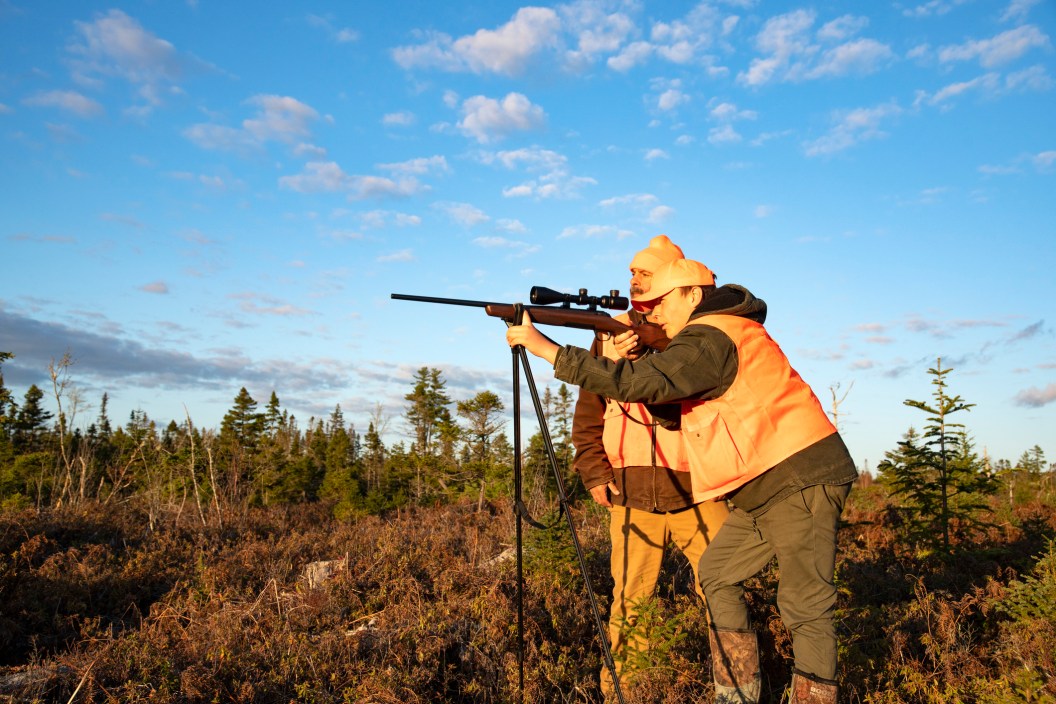 Deer Vision: Are Deers Blind and More Questions, Answered