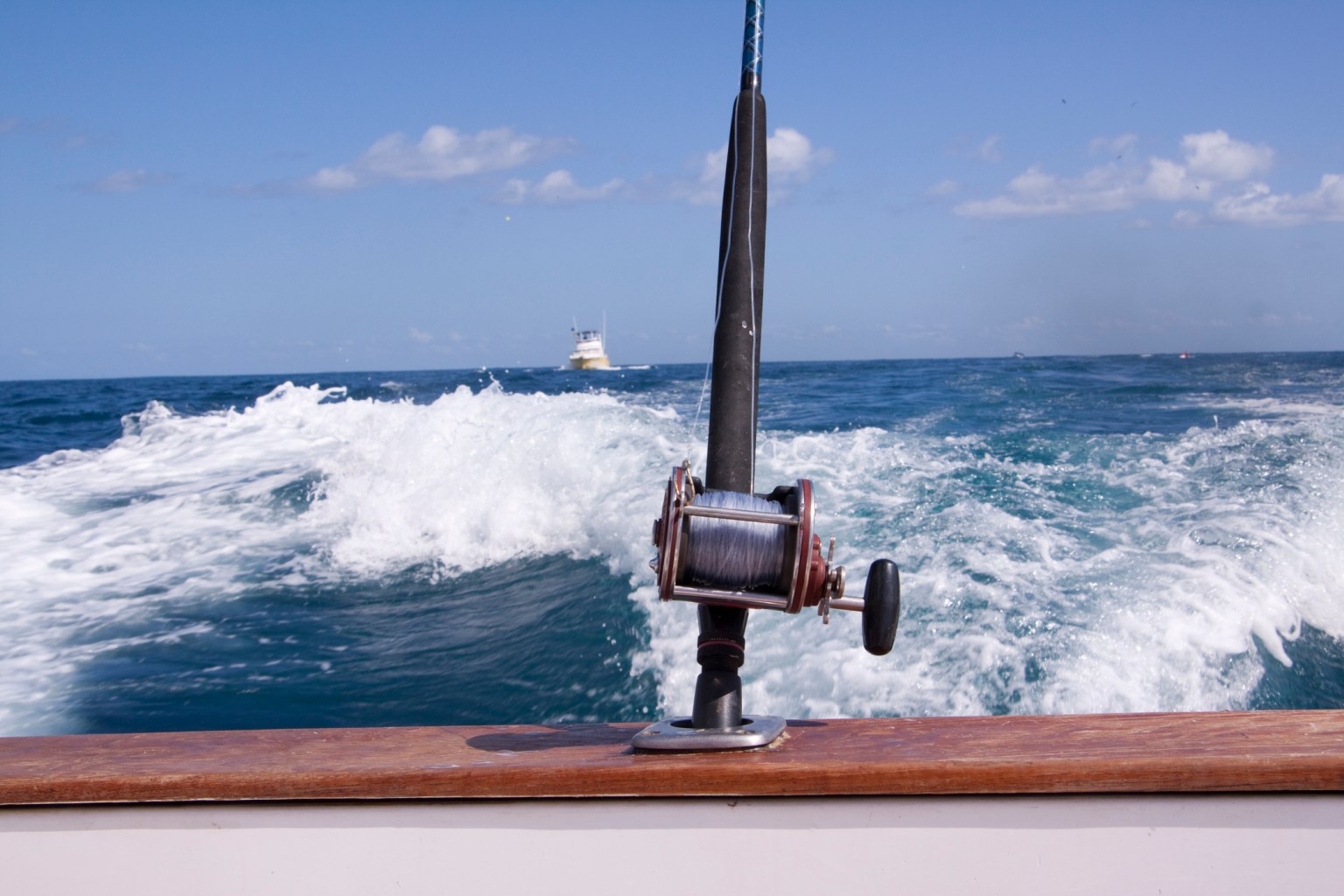 3 Reasons to Book a Deep-Sea Fishing Charter this Summer - Wide Open Spaces