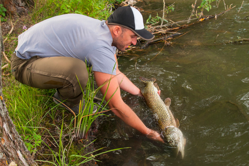 Catch and Release Fishing: How the Practice First Started