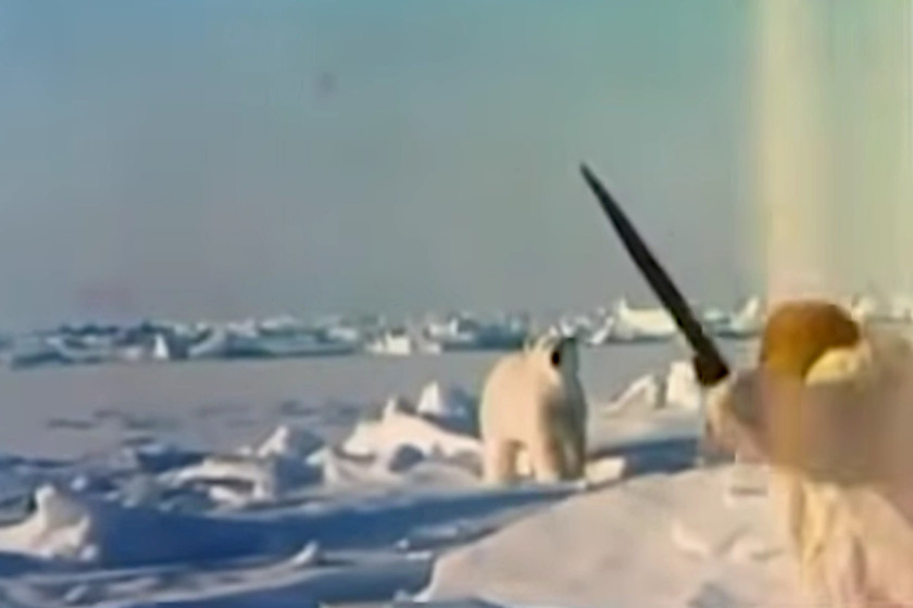 Fred Bear and the Birth of Modern Bowhunting: A Short History