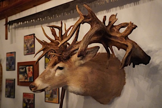 6 World Class Bucks Hunters Dropped Long Before the Age of Genetic ...