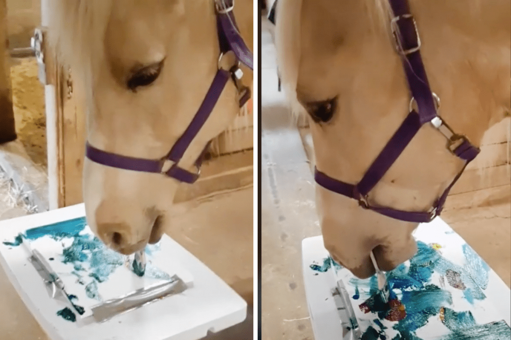 Watch This Horse Create a Masterpiece One Brushstroke at a Time
