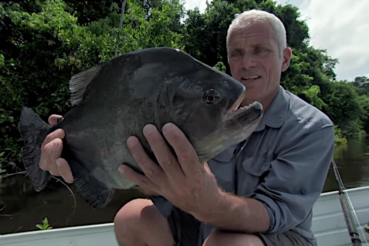 Jeremy Wade Catches a Monstrous 250-Pound Arapaima on a Fly Rod - Wide ...