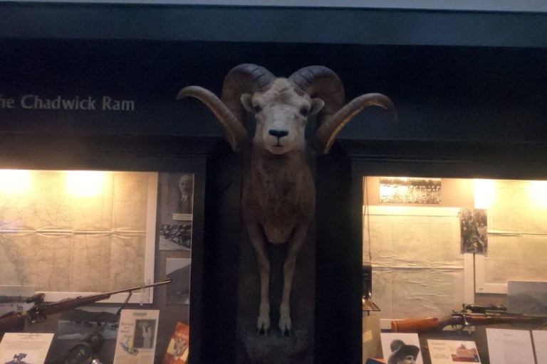 The Chadwick Ram: Boone and Crockett's Most Famous Record